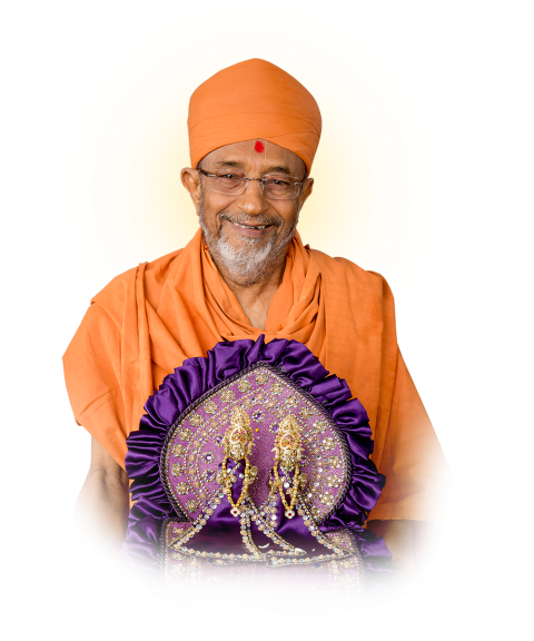 Houston TX Home Page | Harisumiran NJ